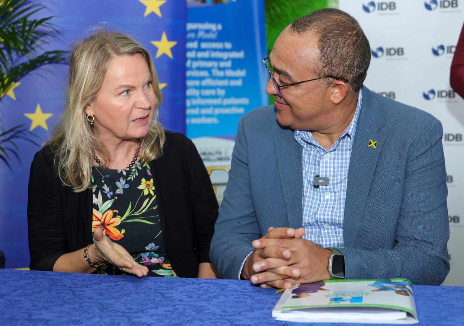 Health Systems Strengthening Programme – Ministry of Health & Wellness ...
